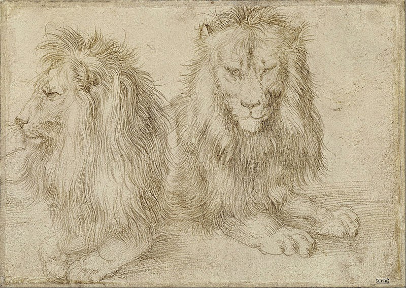 bensozia: Albrecht Dürer: Animals