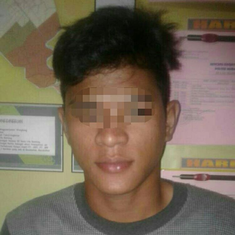 Obat Carnophen - Homecare24