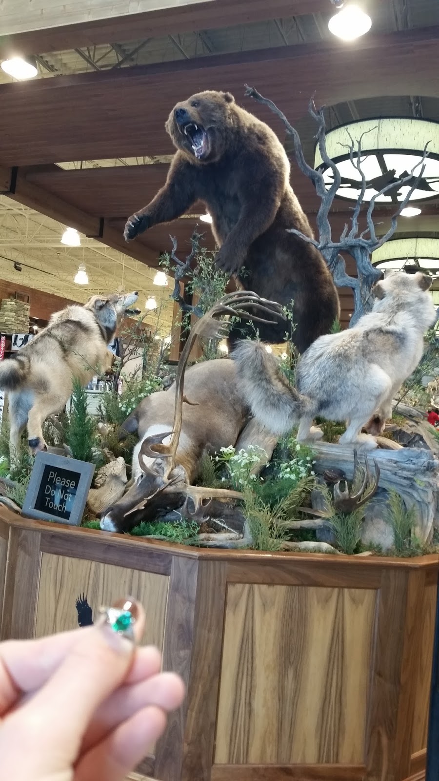 AP Biology Biological Collection Photo Blog: 2. Territorial behavior