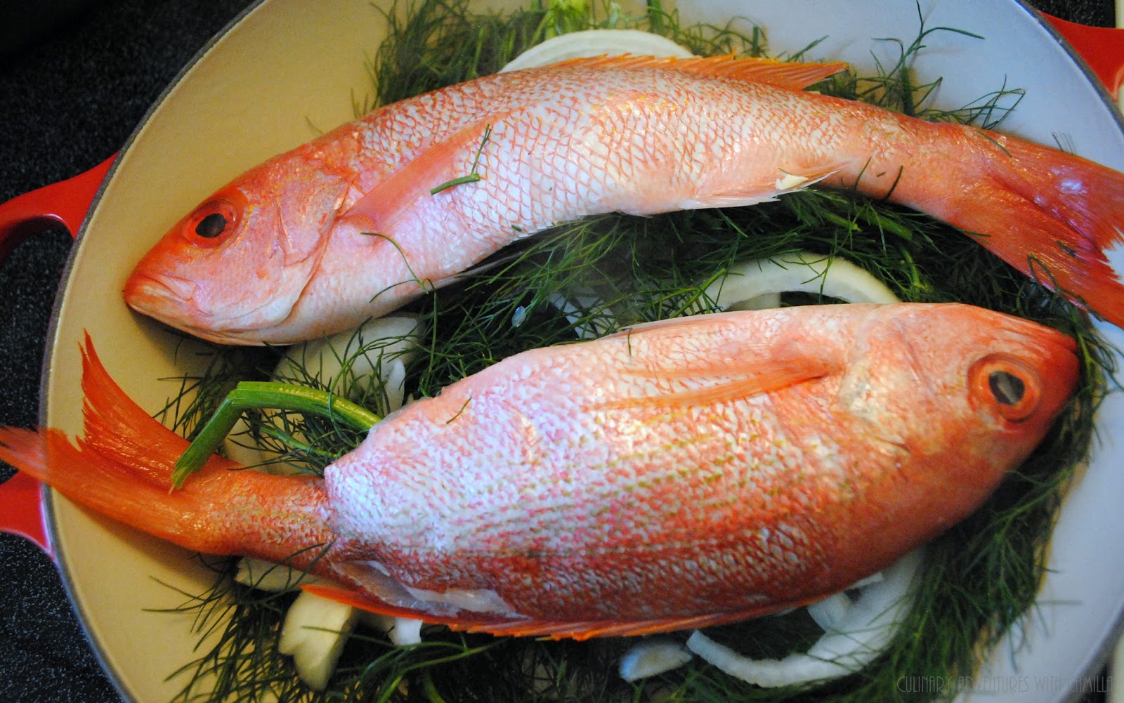 Truffles, a Whole Fish, & Barolo #ItalianFWT