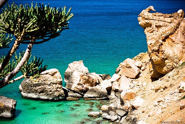 World Geo Blog: ILHA DE SOCOTRA