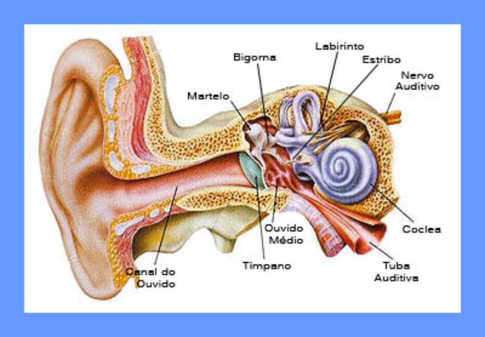 Rotina Down: Cirurgia de ouvido - Miringotomia