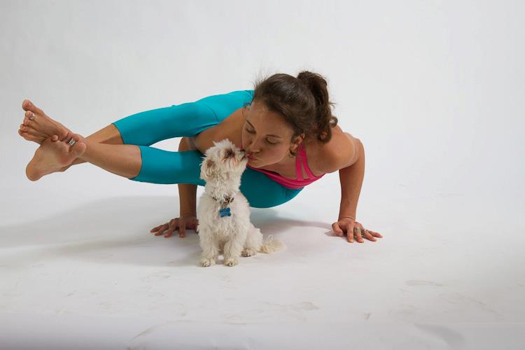 VIVIANAYOGA: “DOGA” : HACER YOGA CON TU PERRO
