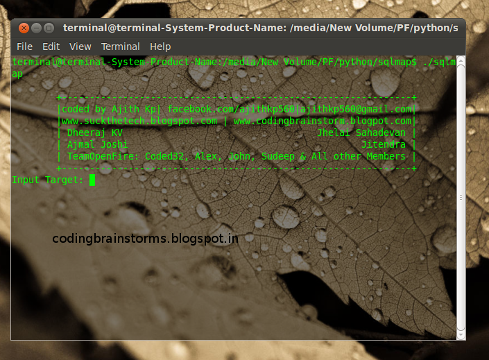 SQLMap Automated Command Executor sqlmap-automated-command-executor