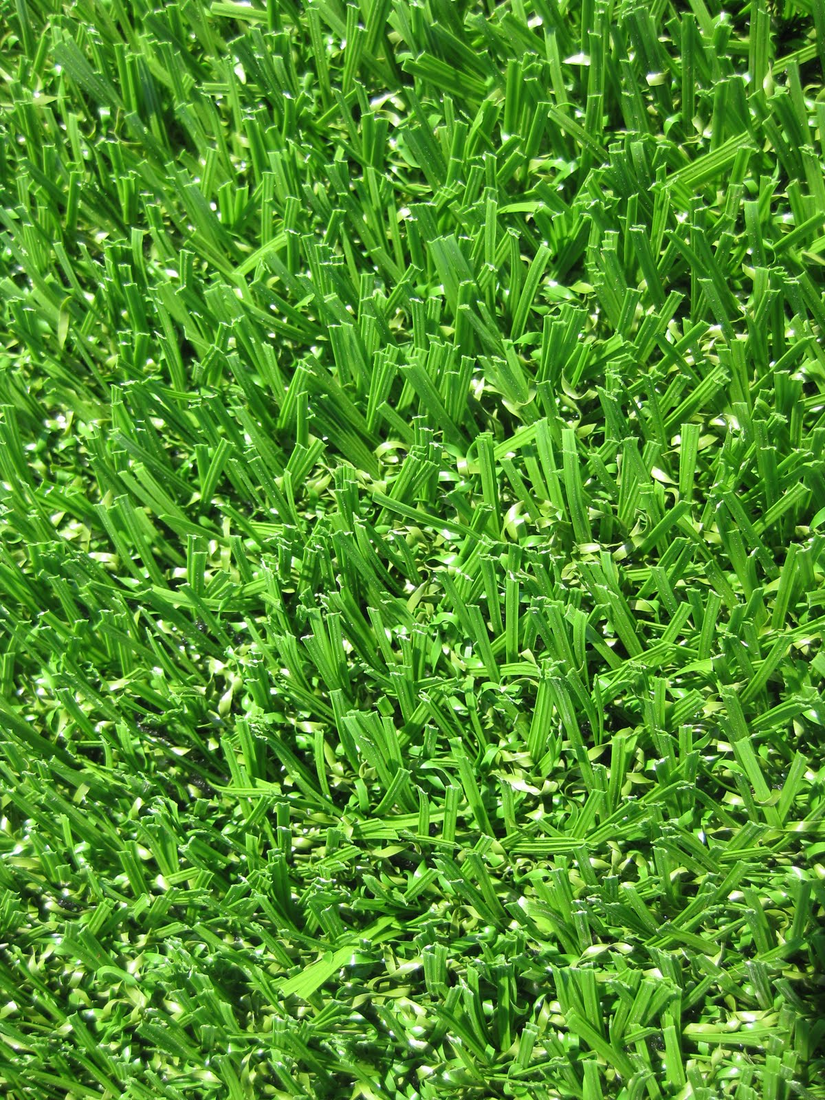 Hi-Tech Turf's Blog: Brand new artificial grass for summer