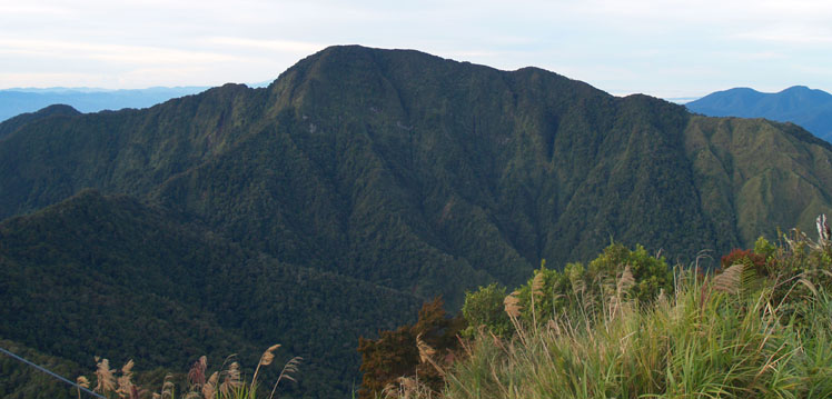 LOGSAC: MT. KITANGLAD CLIMB 2011