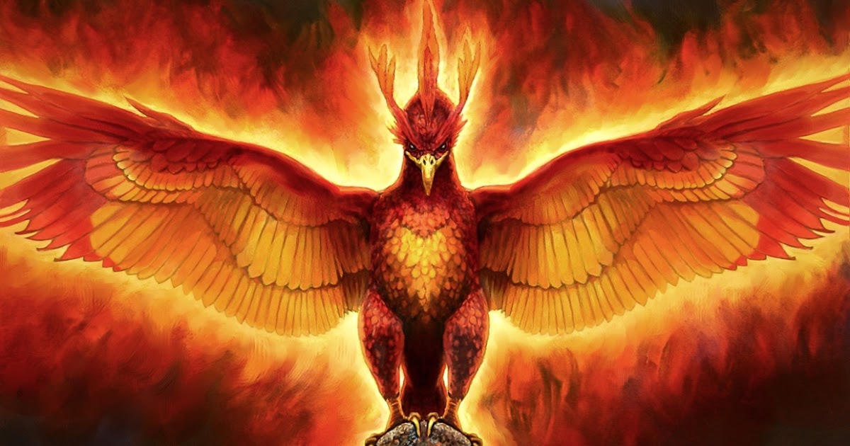 Alina Azim: Reel Dünya