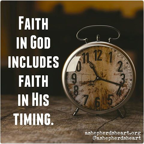 A Shepherd's Heart: Putting Your Faith In God's Timing.