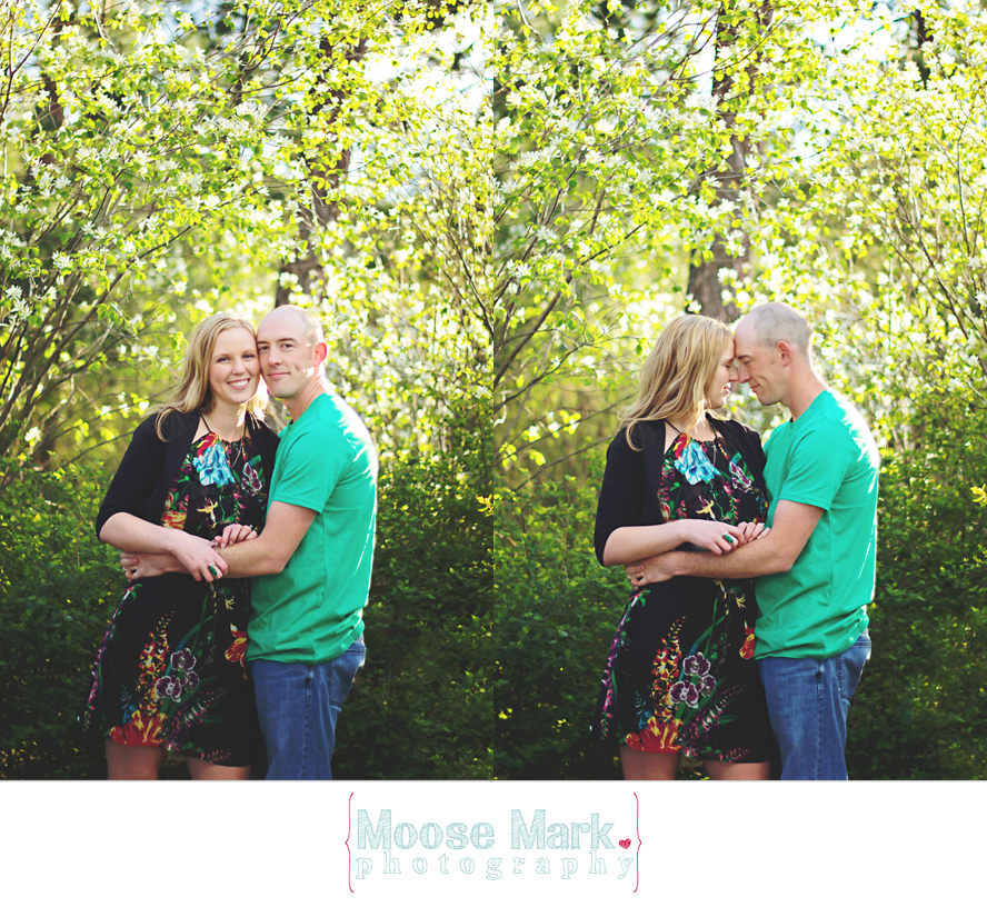 Moose Mark Photography