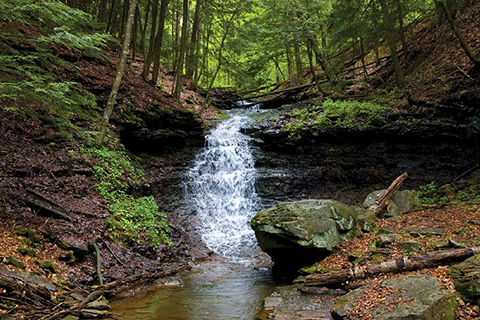 PA Environment Digest Blog: House Resolution Introduced To Designate ...