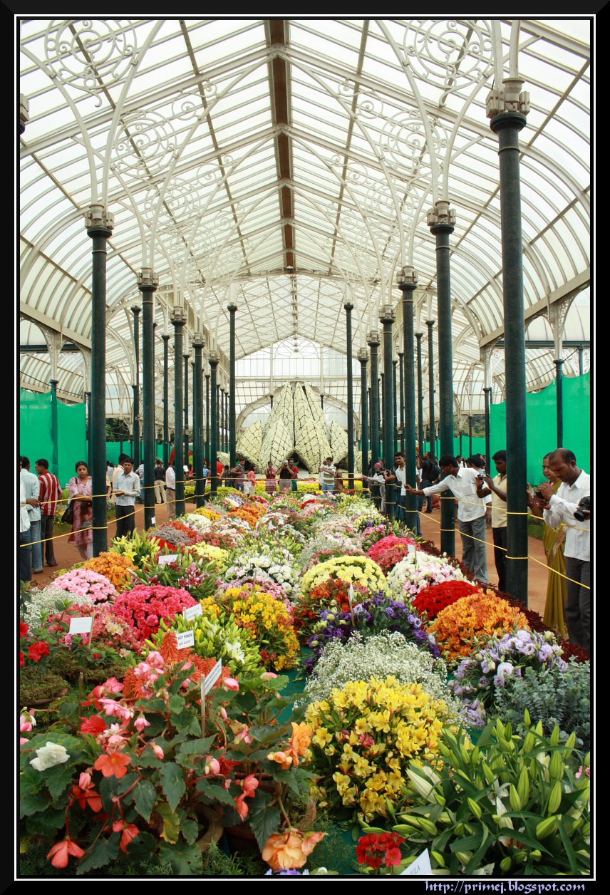 Prime Photos: Lalbagh Flower Show - August 2011