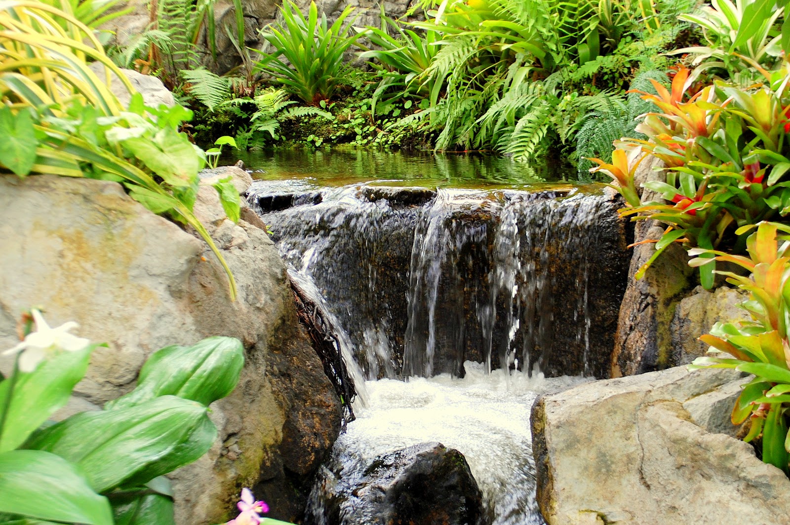 Shutterbugs Capturing the World Around Us: Tropic Zone Change