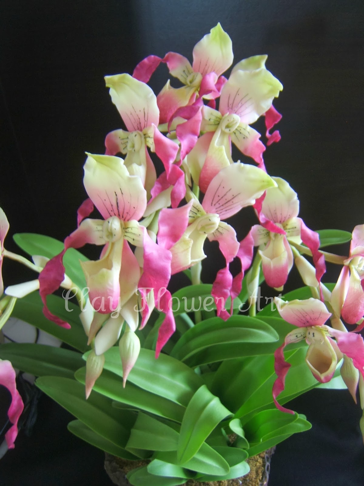 Paph. Parishii - Clay Flower Art