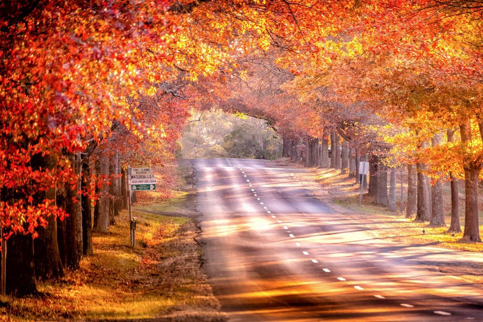 anna maria: Today's ABC Open photos