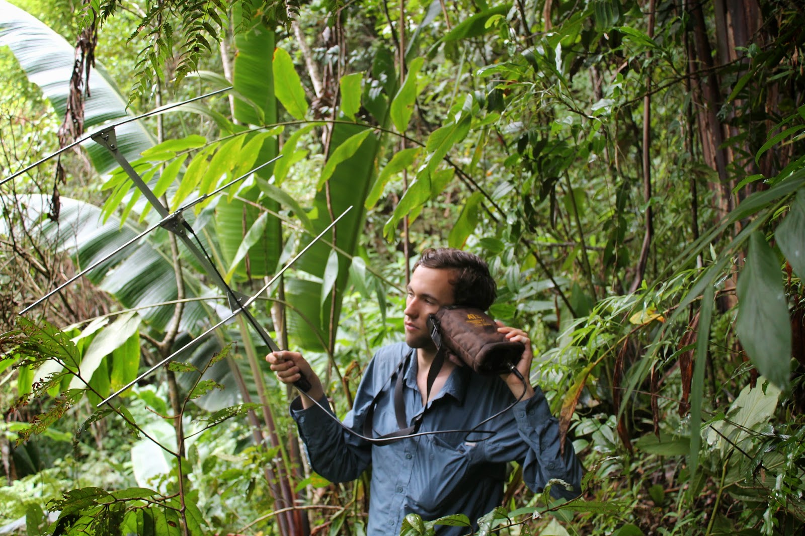 To Sail Beyond the Sunset: The Dwarves Delved Too Deep