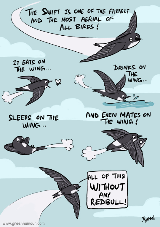 Green Humour: The Swift