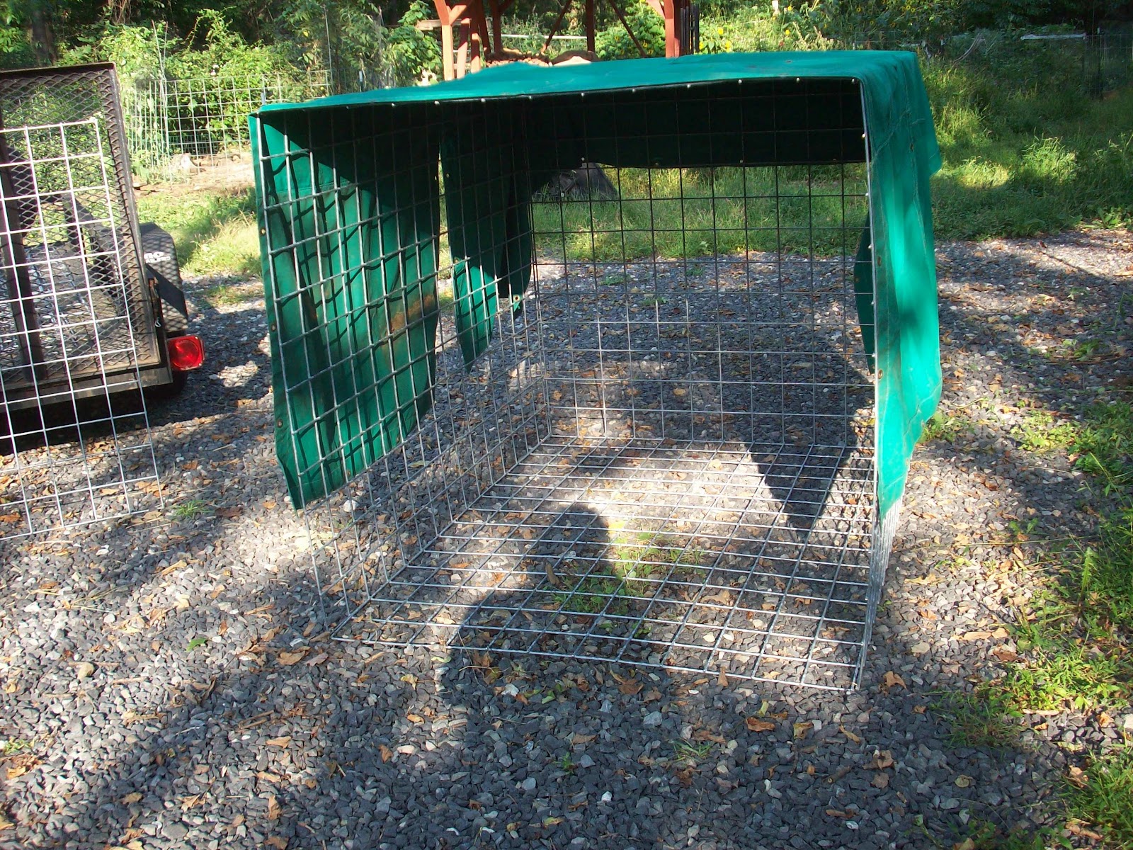 4 acres and a stream: The goats are here! (And how to build a transport ...