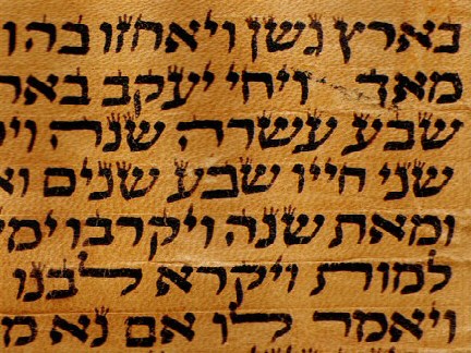 BBC News - 'World's oldest Torah' scroll found : r/Judaism