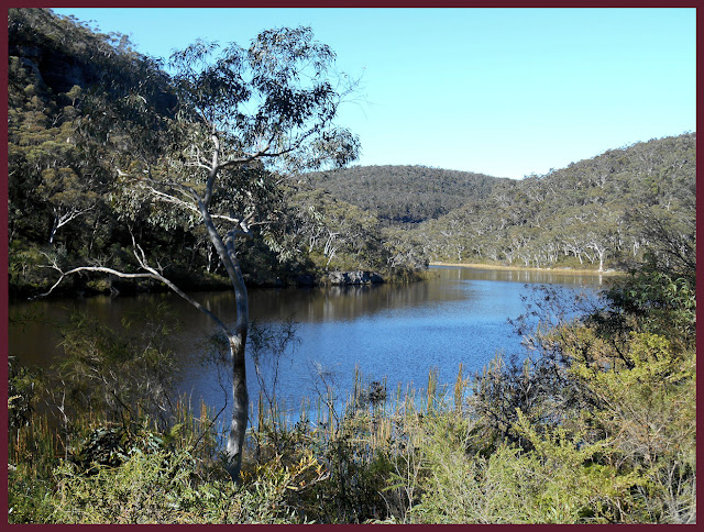 Our Walks | Excursion ideas | Sydney and Blue Mountains | day trips and ...