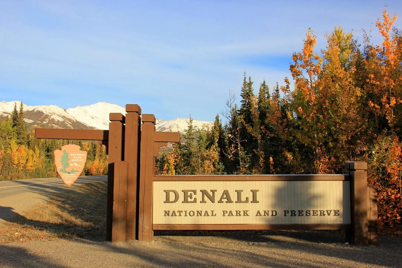 Joy of Discovery: Autumn in Denali National Park