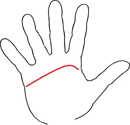 Health Tips and Interesting Stories: This Is What Your Heart Line Tells ...