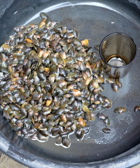 unnok/ginukan, freshwater shellfish ~ PINAKBET REPUBLIC