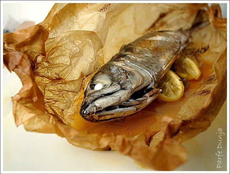 Parfe Dunja: Riba iz papira