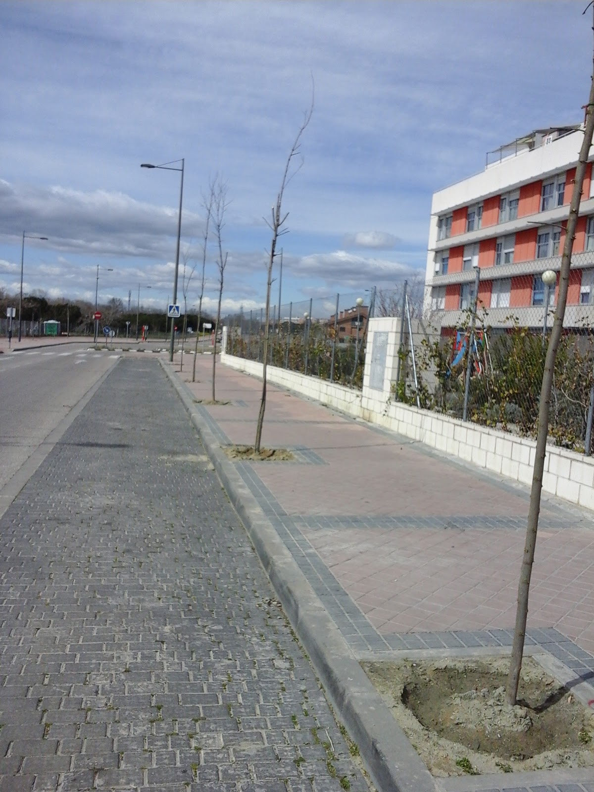 CIUDADANOS DE PARLA: Parla está plantando 9.000 árboles en Parla-Este y ...