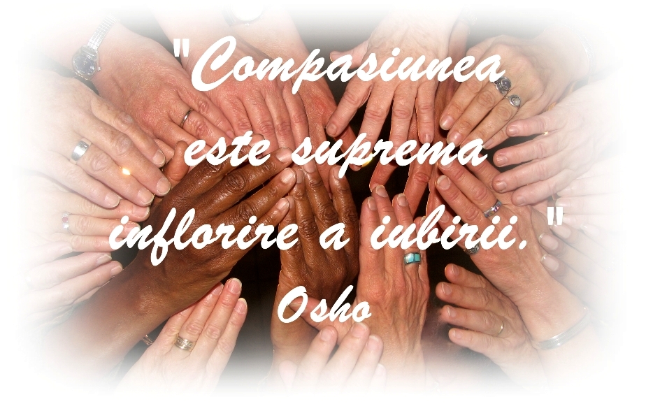 Adina Amironesei - Universul meu : Despre compasiune...