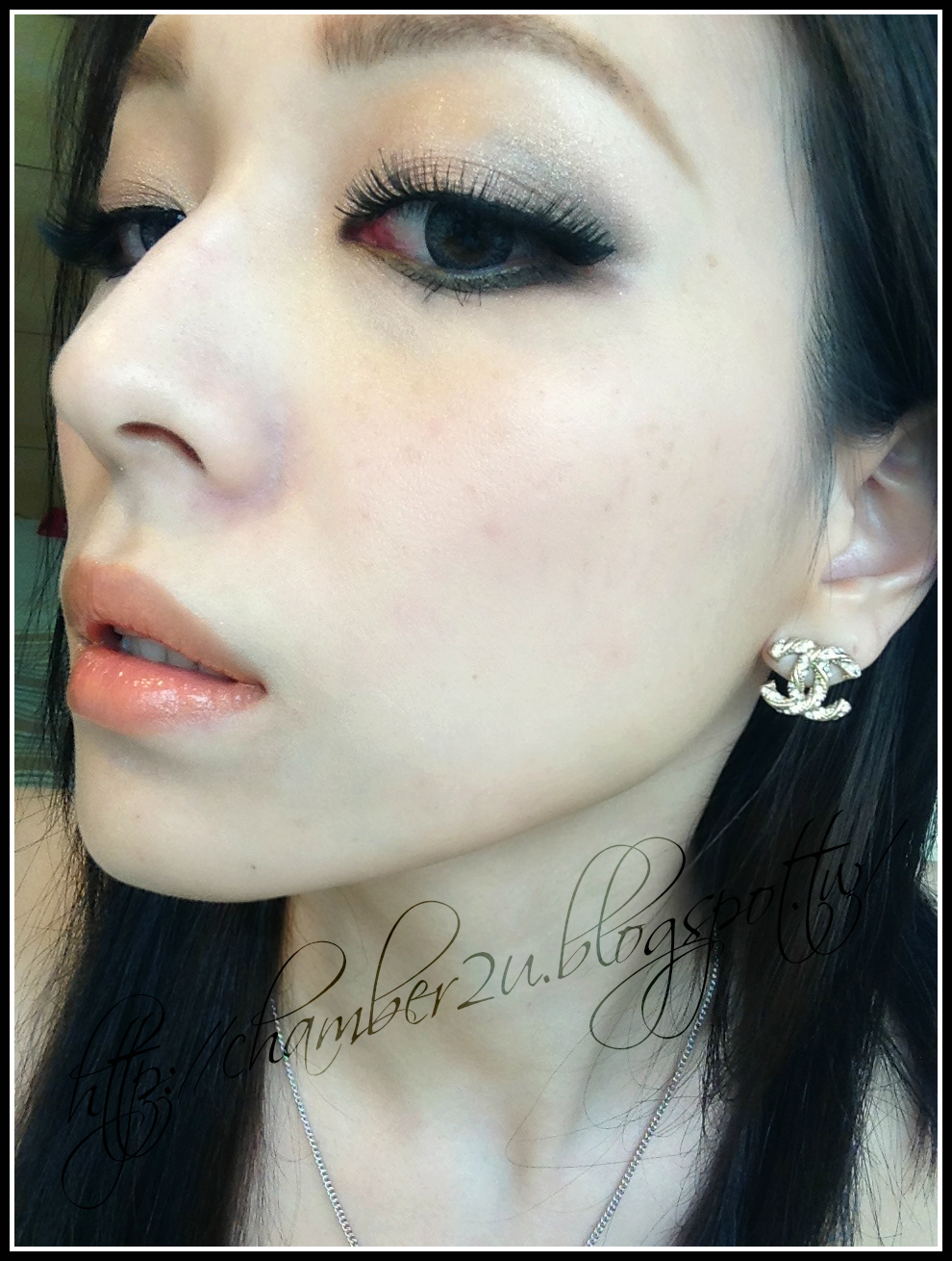 Beauty ChAmber : 1028 Makeup Haul Smoky Cat Eyes Night Look Tutorial