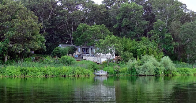 Joe's Retirement Blog: Pond Life, Bartlett Pond, Manomet, Plymouth ...