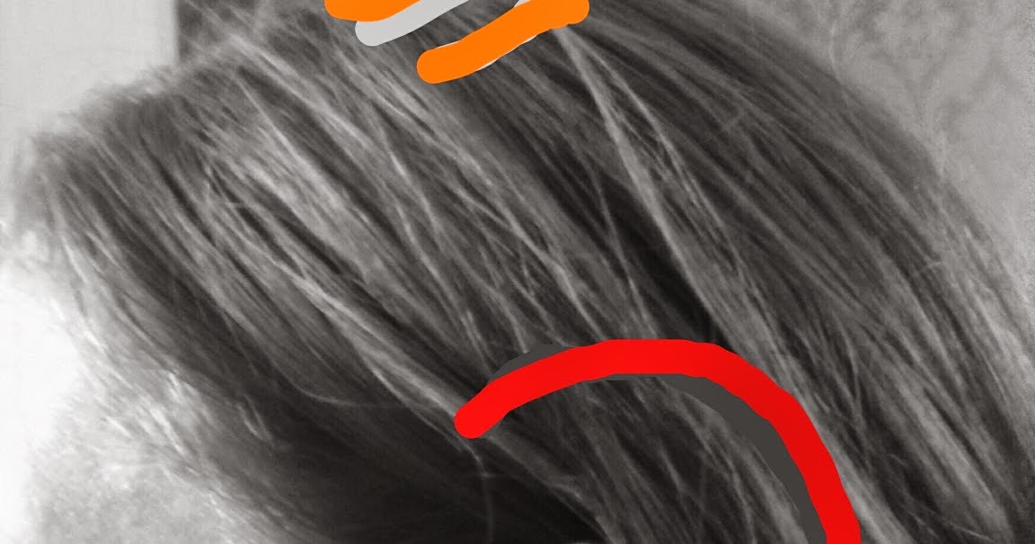 Whooshing Whirring Wanderer: Photo time!