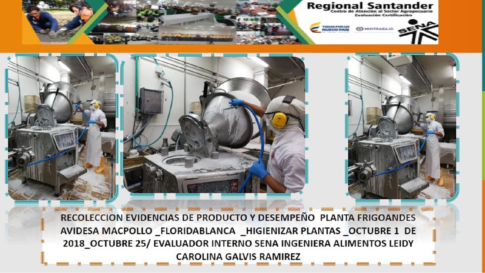 C18: Proceso AVIDESA MACPOLLO PN 4327 Avicola 2018