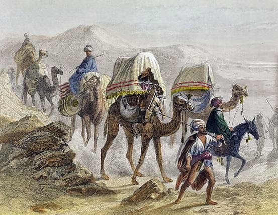 Historic Alleys: The role of camels in the history of trade