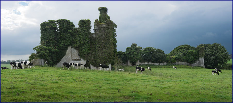 Lord Belmont in Northern Ireland: 2022