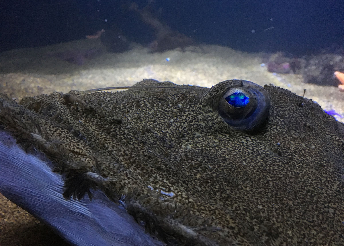 Exhibit Galleries Blog