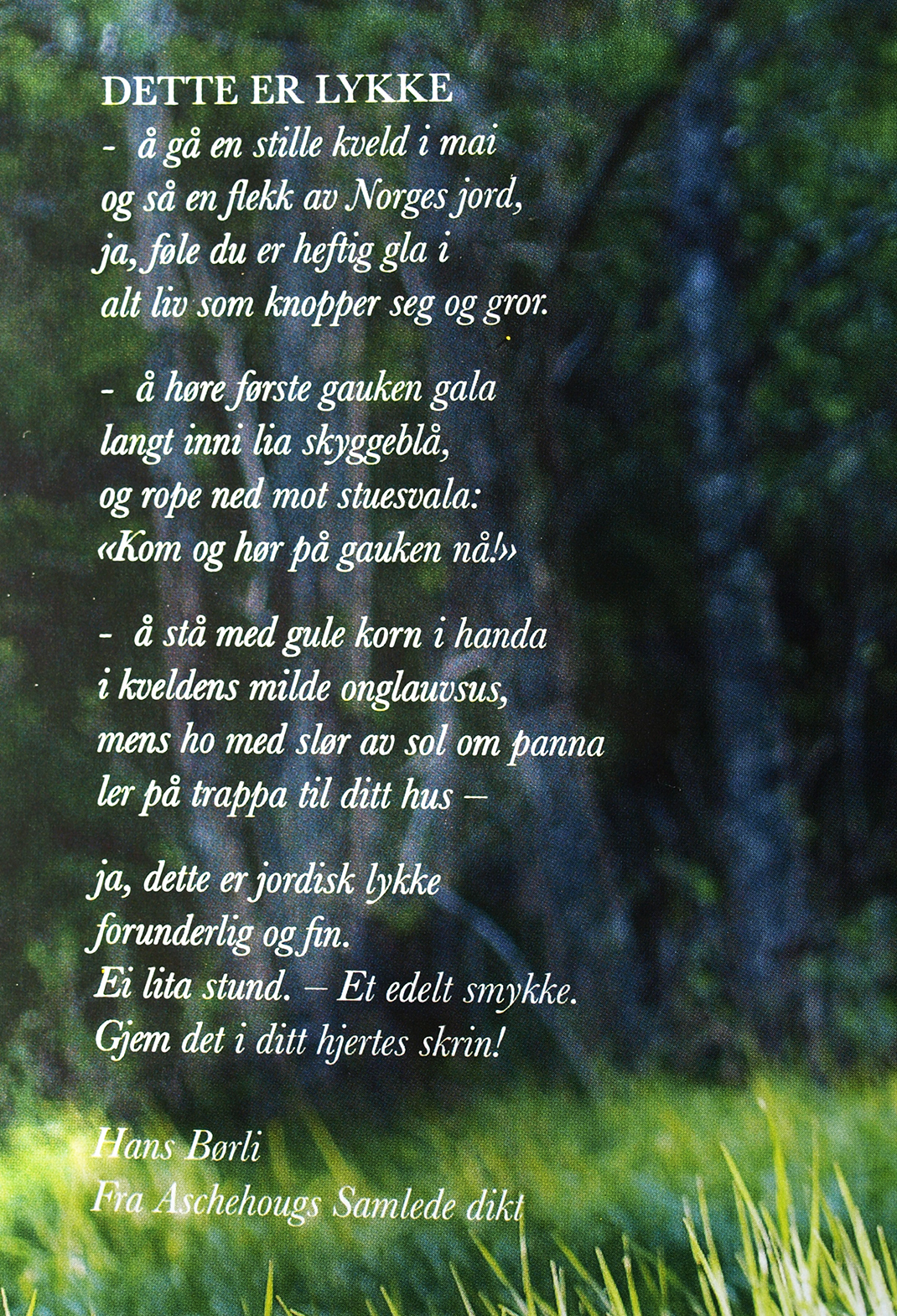 Vilt og vakkert: Lykke av Hans Børli