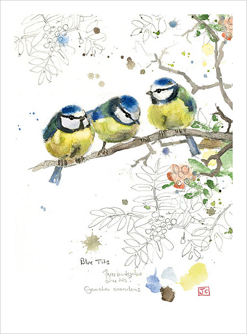 My Owl Barn: Bug Art Greeting Cards by Jane Crowther