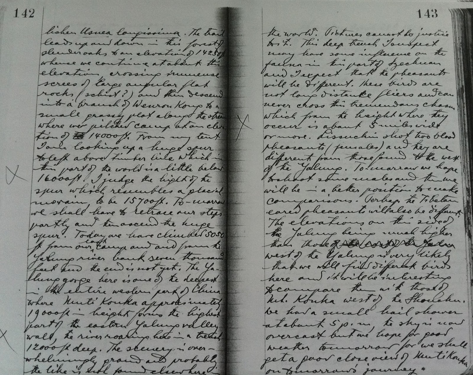 In the footsteps of Joseph Rock 重走洛克路: A sample of Joseph Rock's diary ...