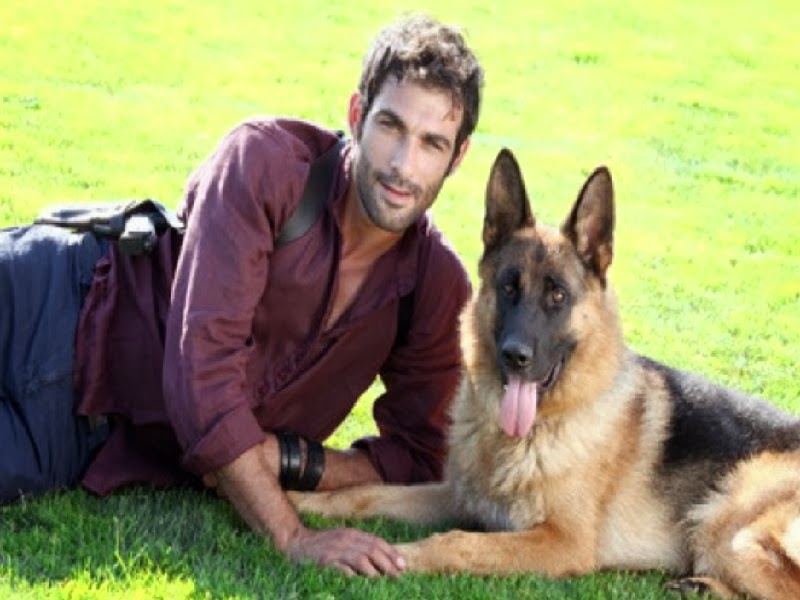 MEDIA-reality: Il cane Rex ha un nuovo amico commissario: è il bel ...