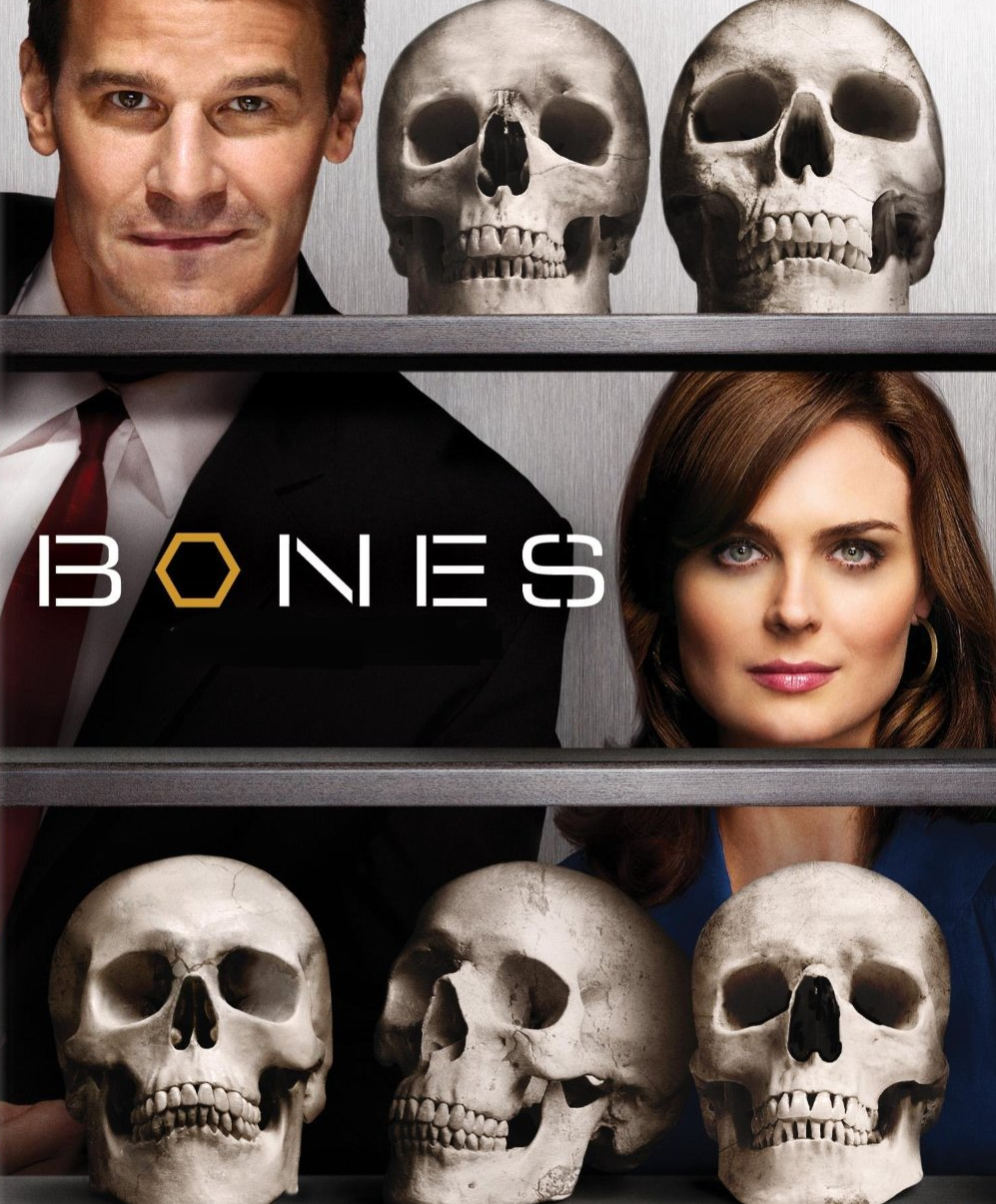 Wallpapers de séries: WALLPAPERS BONES, PAPEIS DE PAREDE BONES, IMAGENS ...