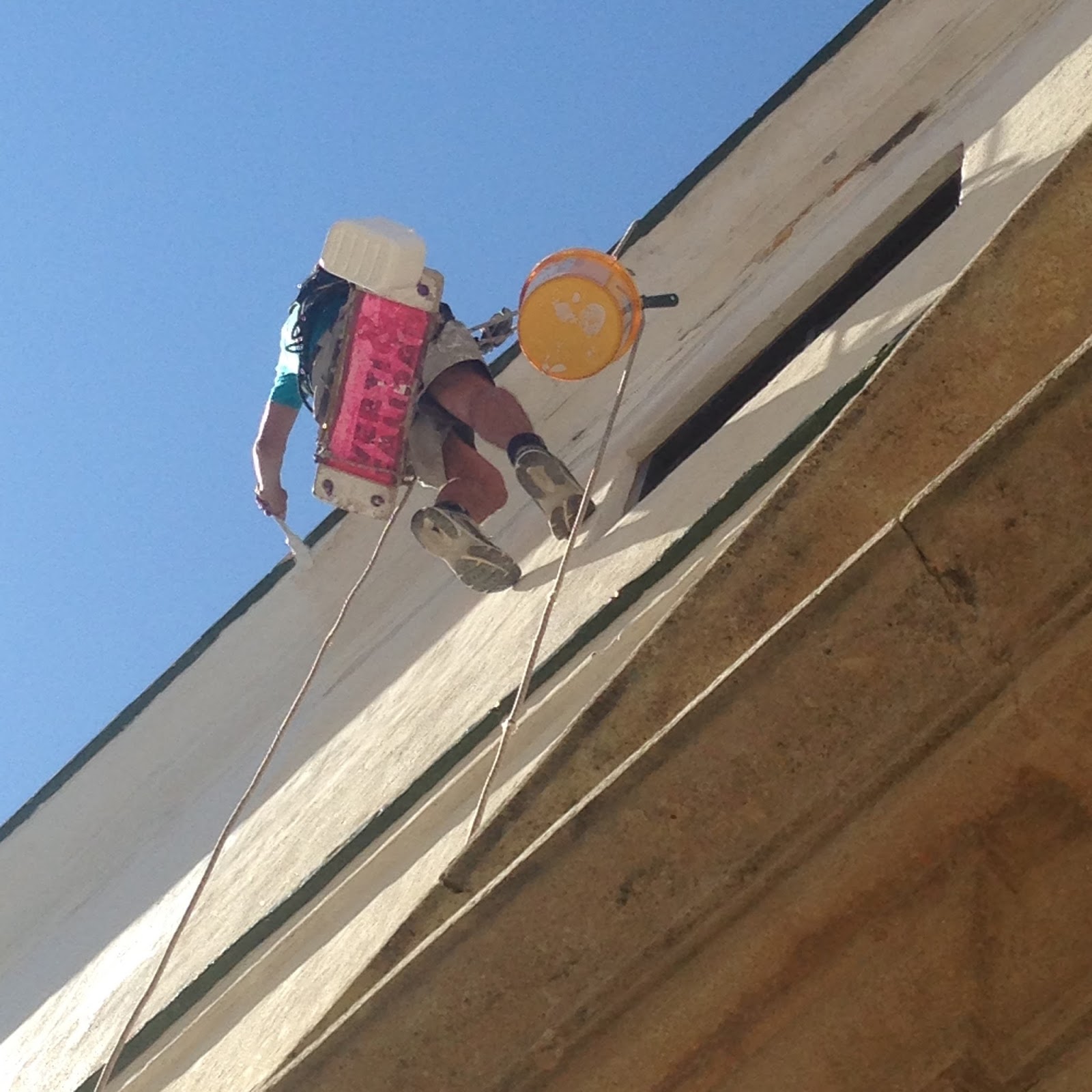 Acicalando la casa - La Casa Grande