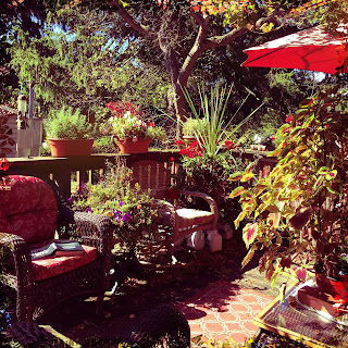 Beth Fish Reads: Stacked-Up Book Thoughts: Looking Back, Looking Forward