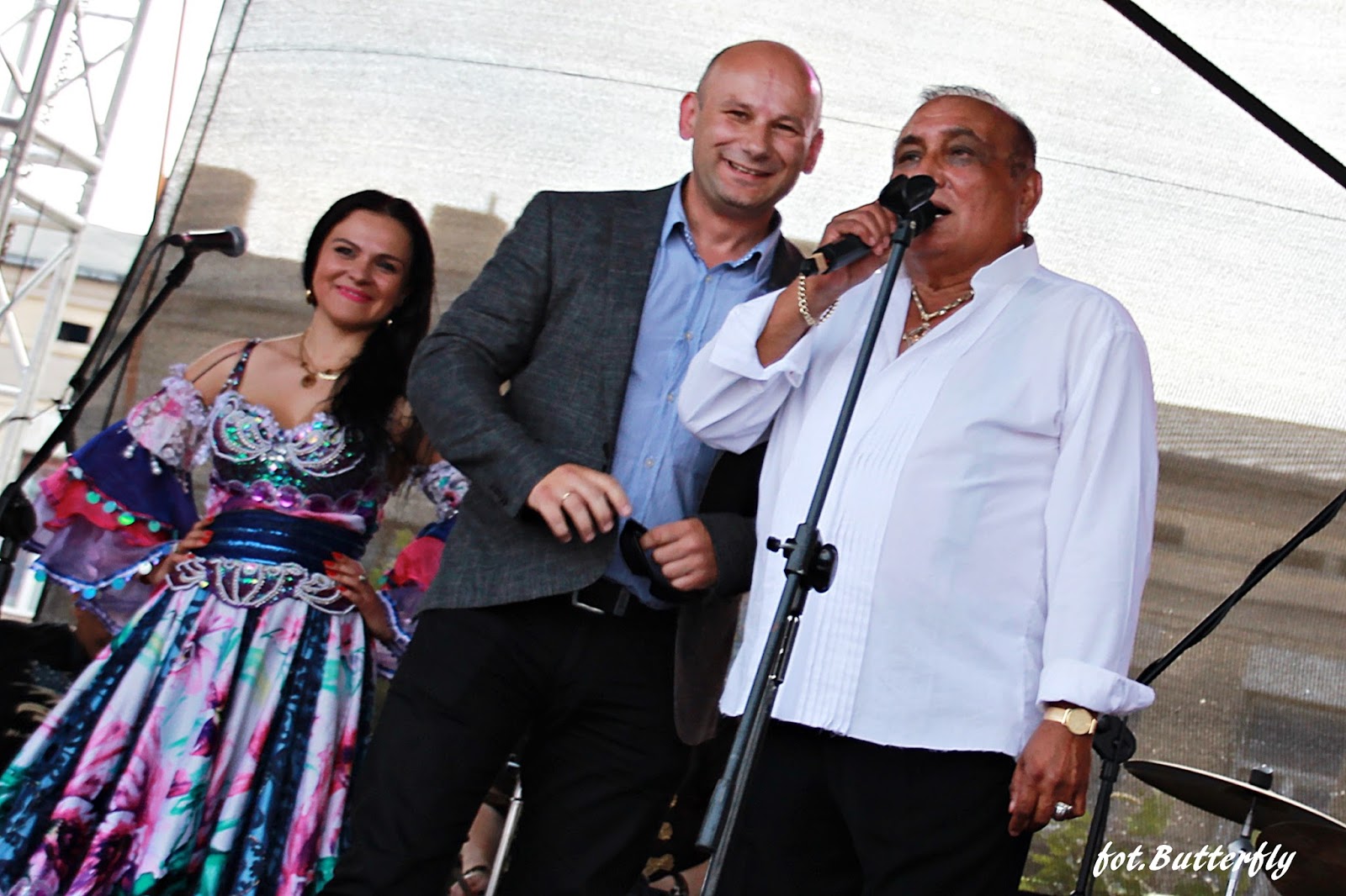 Foto Blue Butterfly: DON WASYL