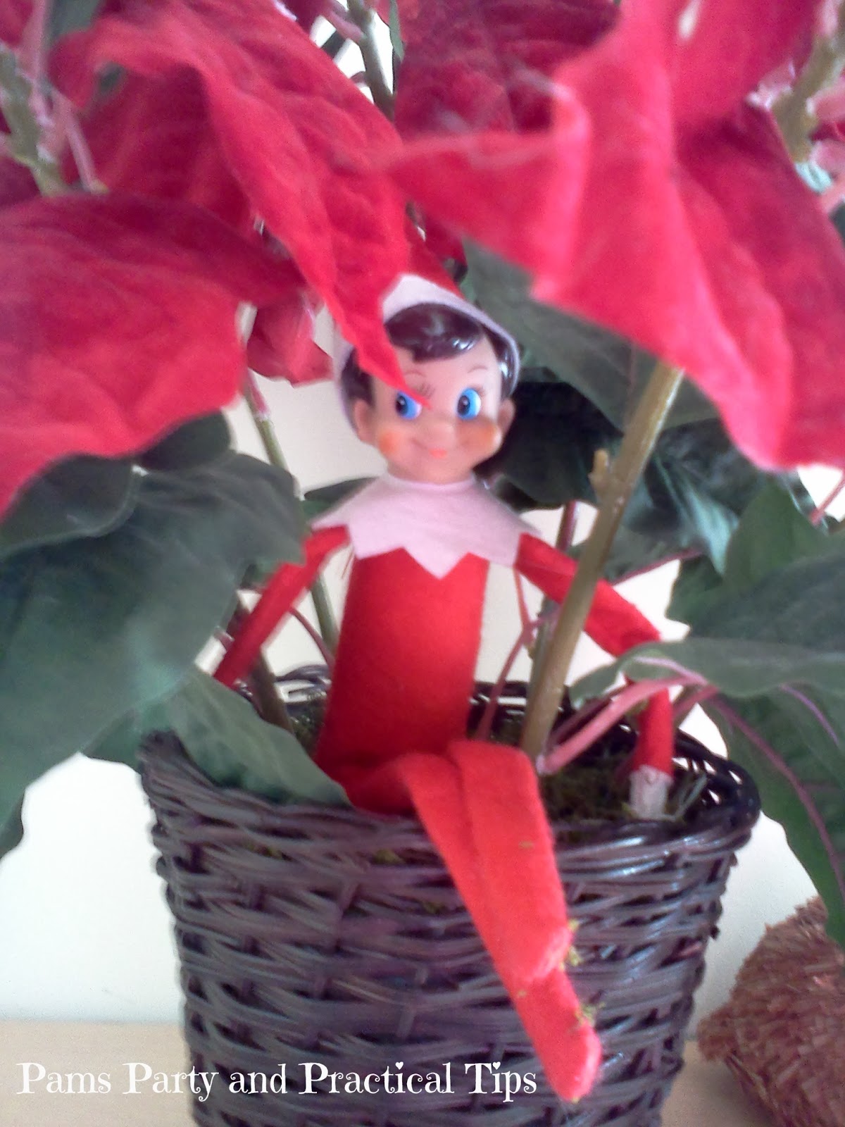 Pams Party & Practical Tips: The Adventures of Buddy the Elf, Week 2