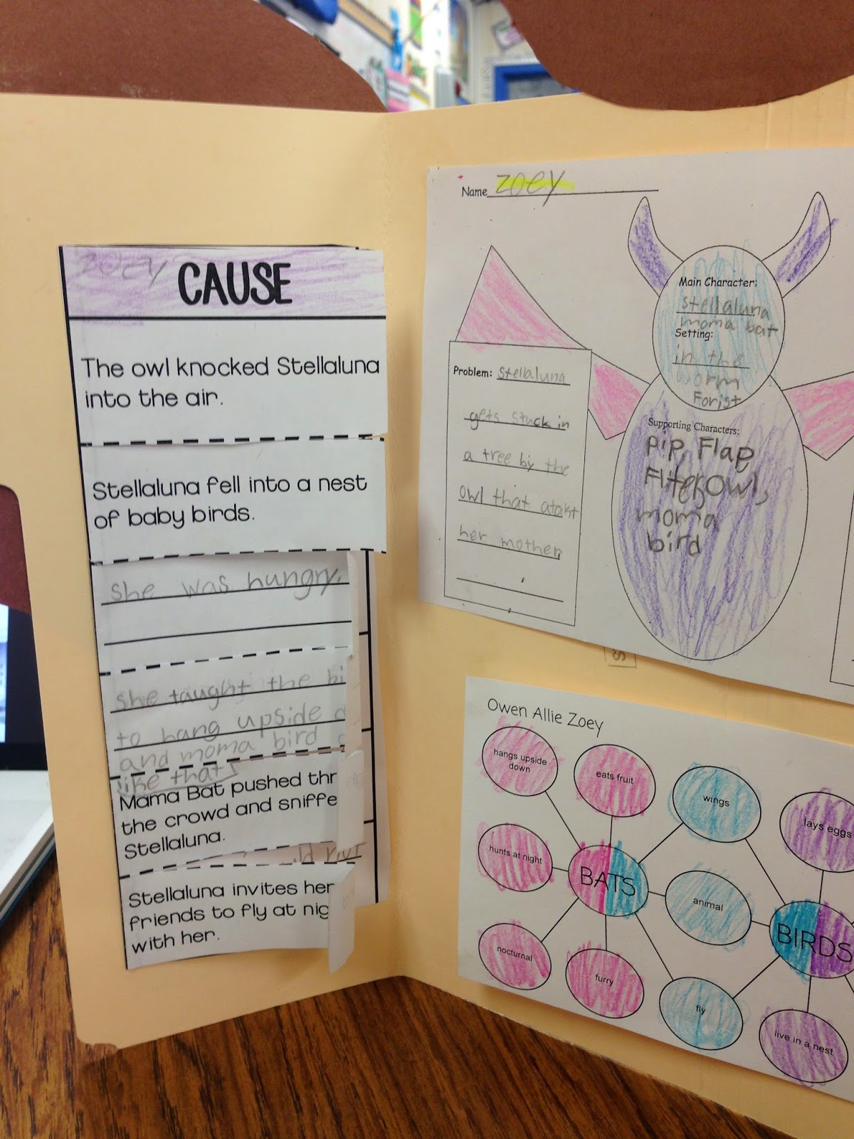 Mrs. MeGown's Second Grade Safari: Stellaluna Literacy Activities ...