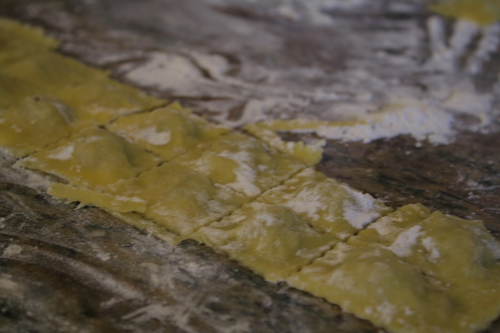 Bossy Italian Wife : Bossy Italian Book Review: The Lost Ravioli ...