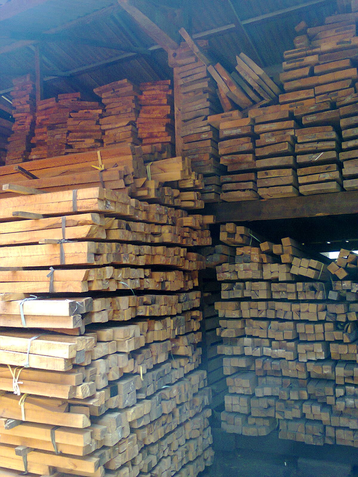 PANGLONG KAYU PRANATA