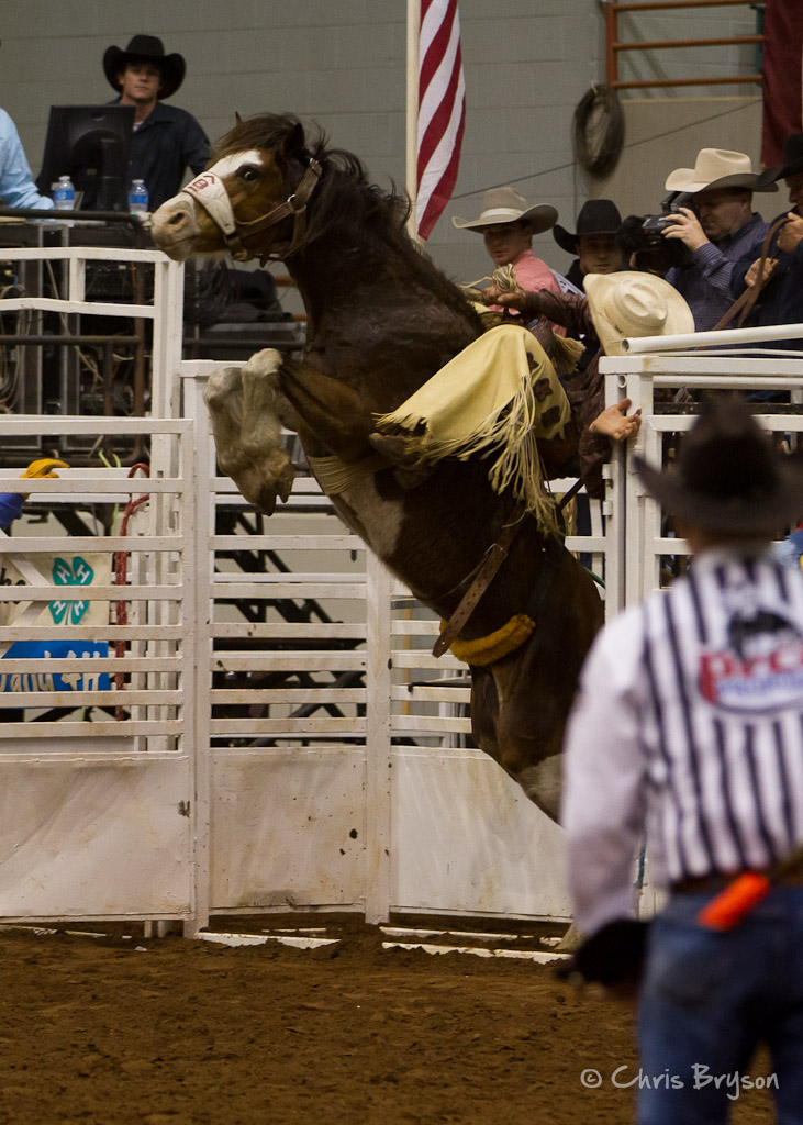 Riverbum's Random Ramblings: Georgia National Rodeo