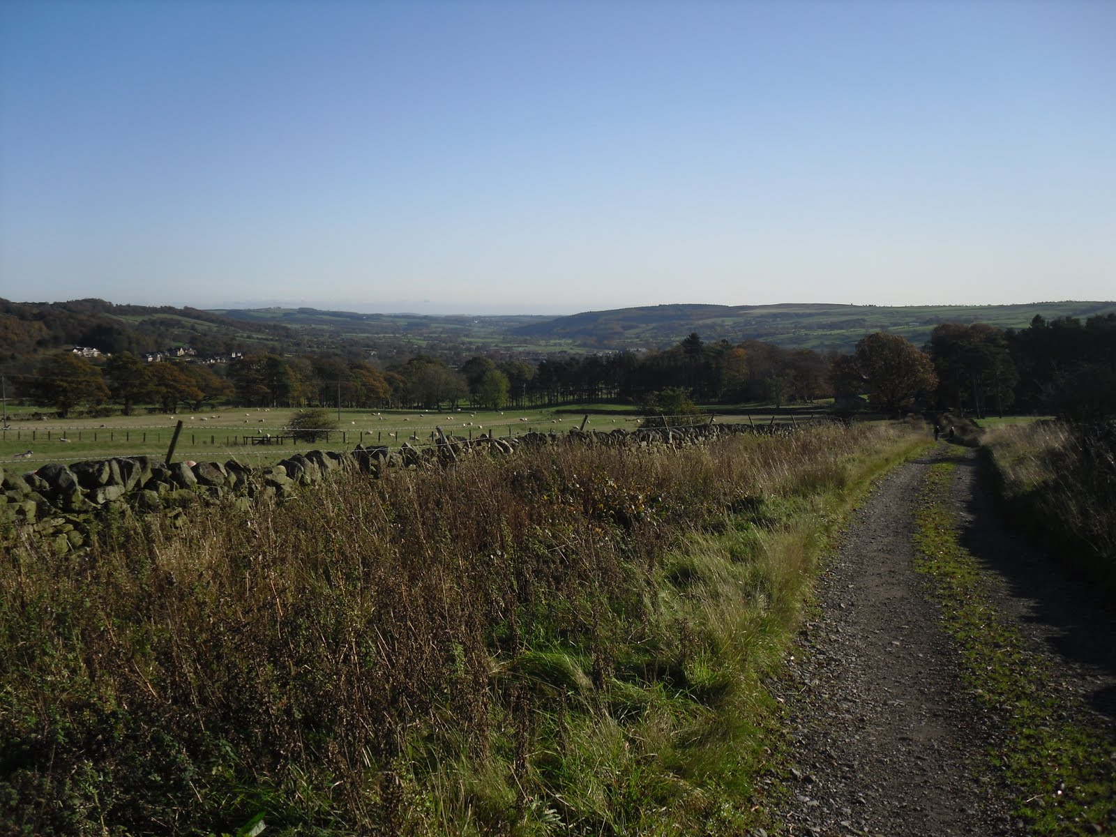Rambling Nana: Wolsingham, Tunstall Reservoir Circular